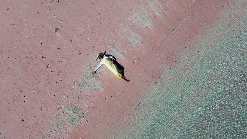 Apakah Pink Beach Ada di Labuan Bajo? Cek di Sini! - Kanha Liveaboard